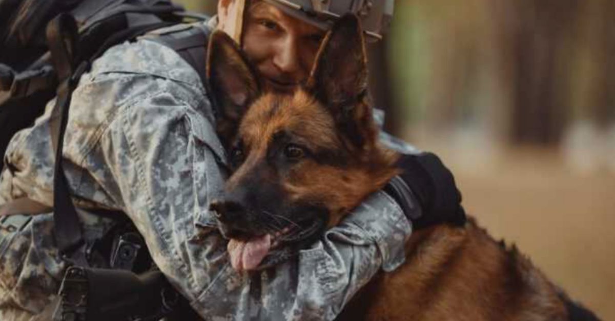 10 Dog Breeds Most Likely To Save Your Life - Dog Breed Pro