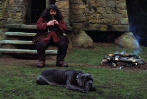 15 Fictional Dogs Who Stole Our Hearts In Literature - Dog Breed Pro