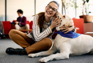 15 Best Therapy Dog Breeds for Emotional Support - Dog Breed Pro