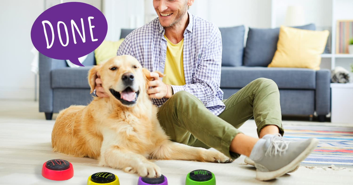 15 Insights Into How Dog Buttons Work - Dog Breed Pro