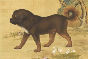 15 Different Cultures that Honor Dogs as Sacred Beings - Dog Breed Pro