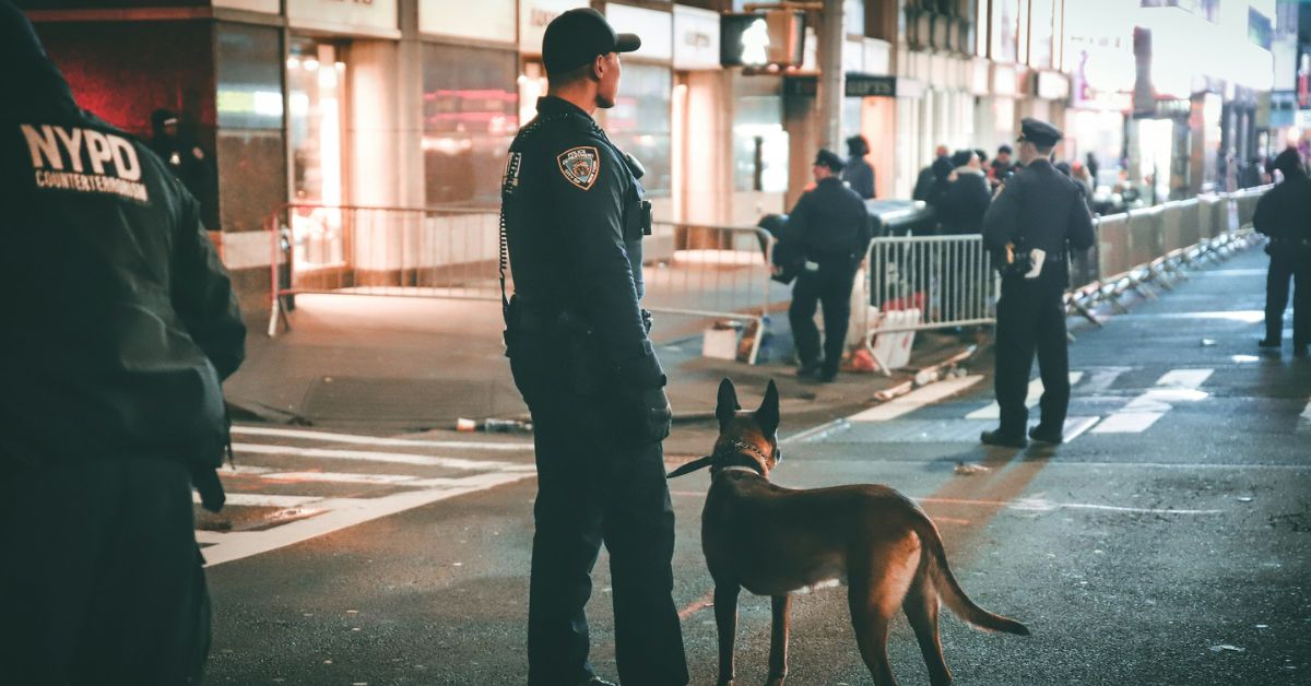 15 Dog Breeds That Work With The Police Patrol - Dog Breed Pro