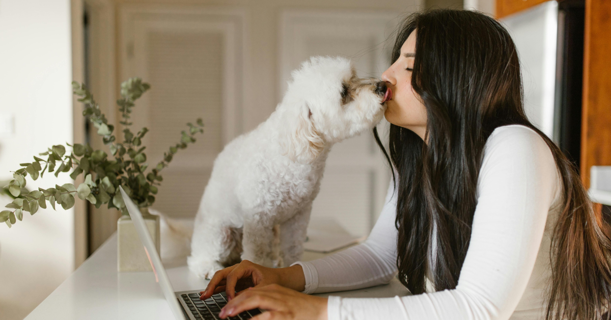 15 Dog Breeds For Those Facing Tough Times - Dog Breed Pro