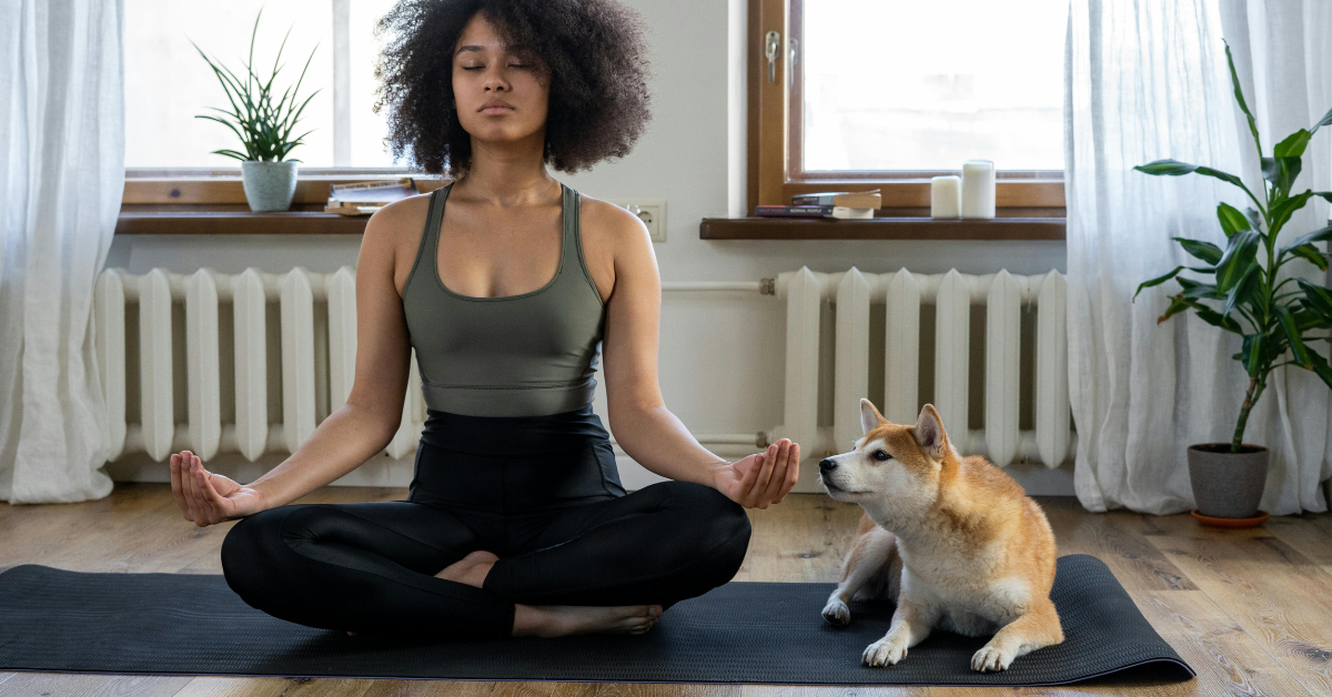 15 Doga Tips for a Harmonious Practice with Your Dog - Dog Breed Pro
