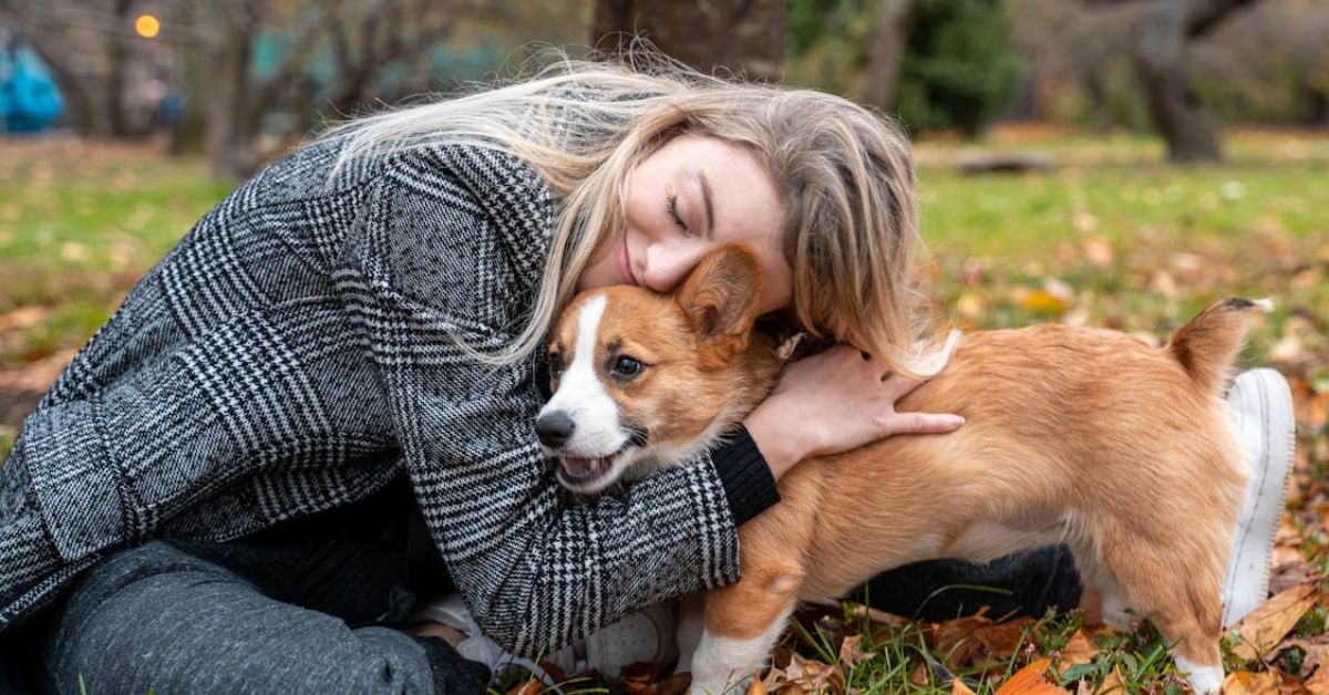 15 Ways To Increase The Chances Of Finding Your Lost Dog - Dog Breed Pro