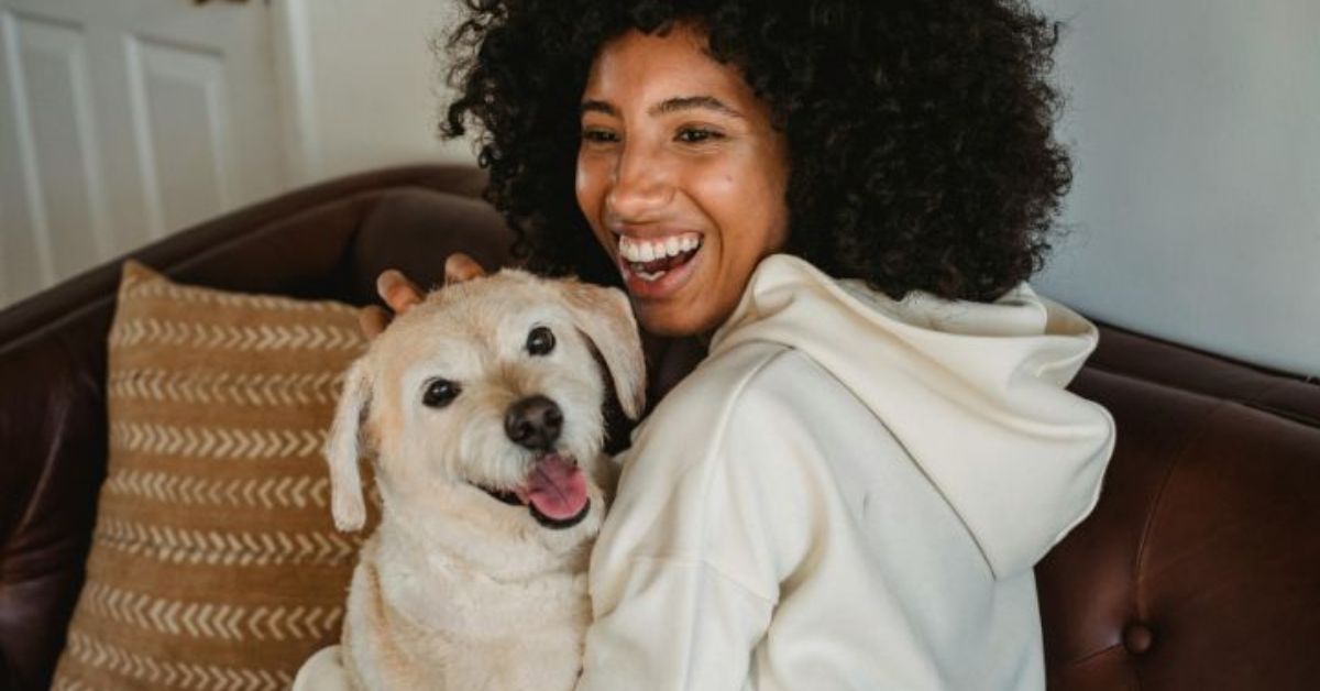 15 Extroverted Dog Breeds For People Who Love To Entertain - Dog Breed Pro