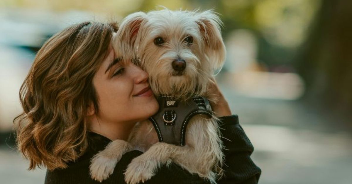 15 Dog Breeds To Comfort You Through Heartbreak - Dog Breed Pro