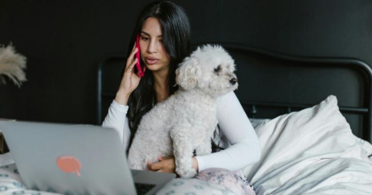 15 Perfect Dog Breeds For Work From Home Company - Dog Breed Pro