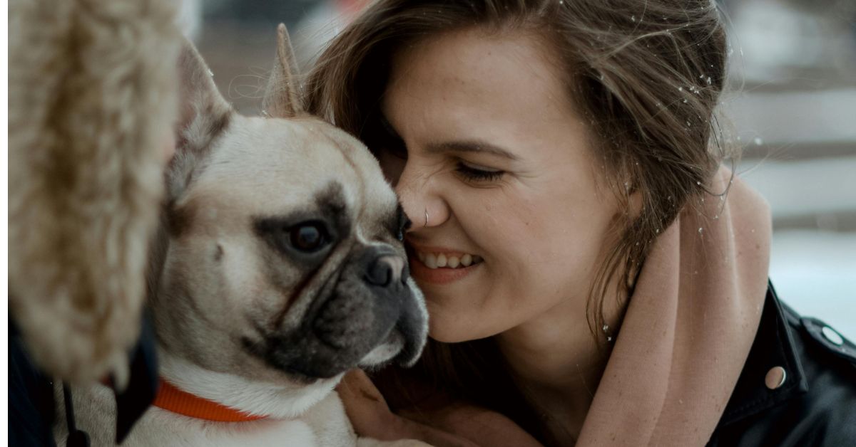 15 Things New Frenchie Owners Should Know - Dog Breed Pro