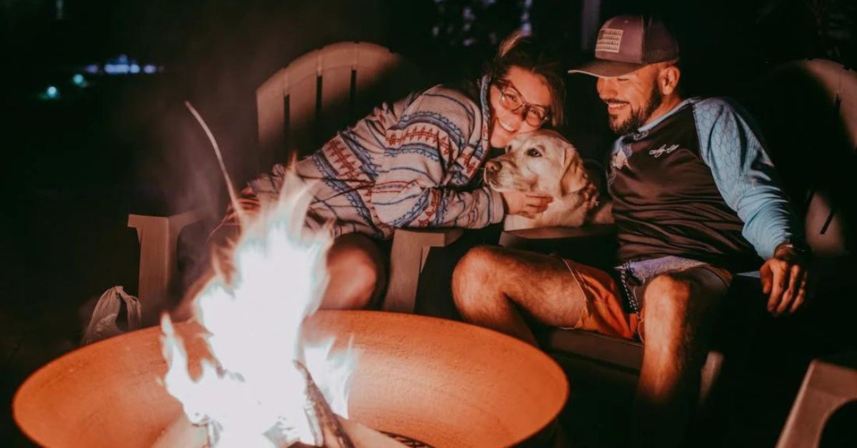 15 Dog Breeds Perfect for Night Owls - Dog Breed Pro