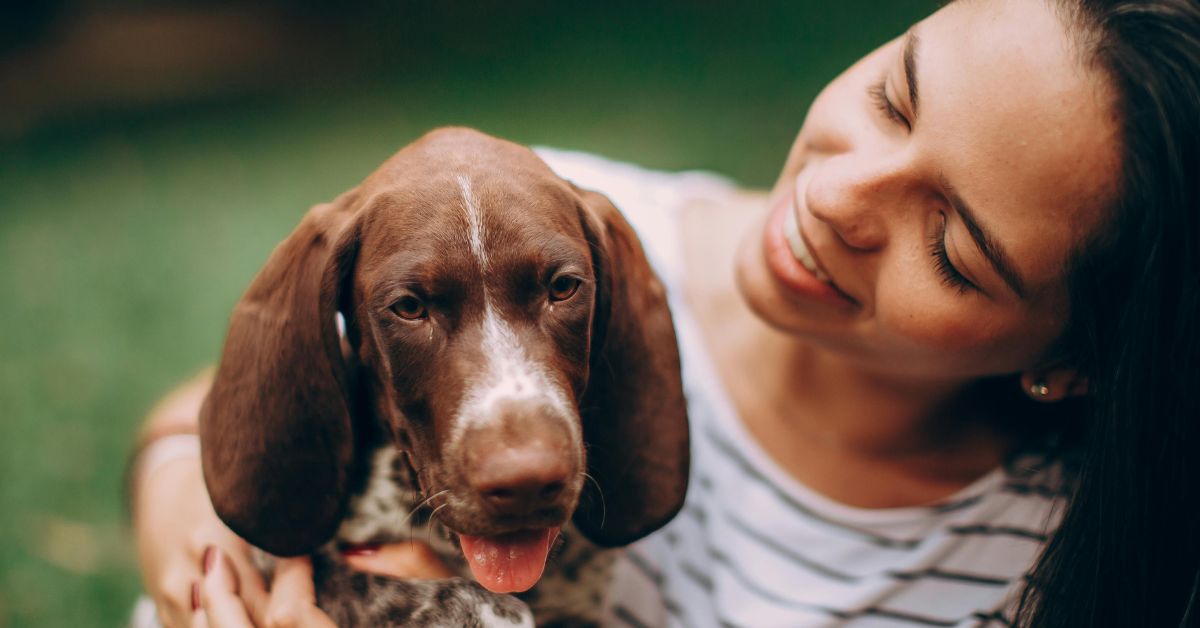 15 Simple Ways to Boost Your Dog's Happiness and Well-Being - Dog Breed Pro