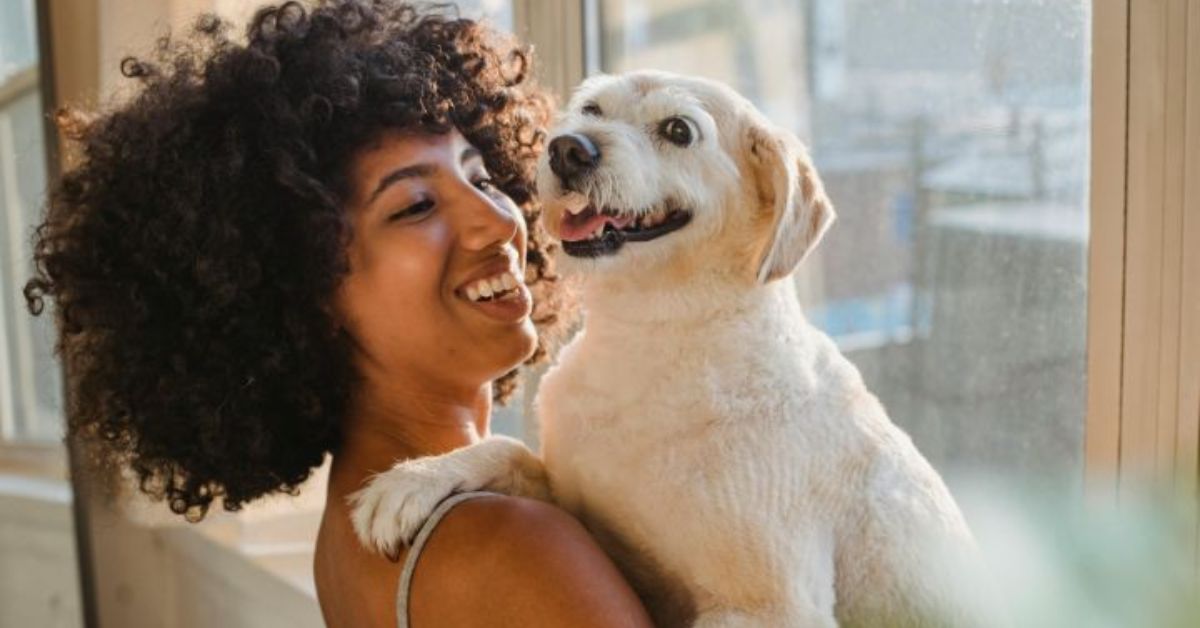 15 Clingy Dogs That Love Being Your Shadow - Dog Breed Pro