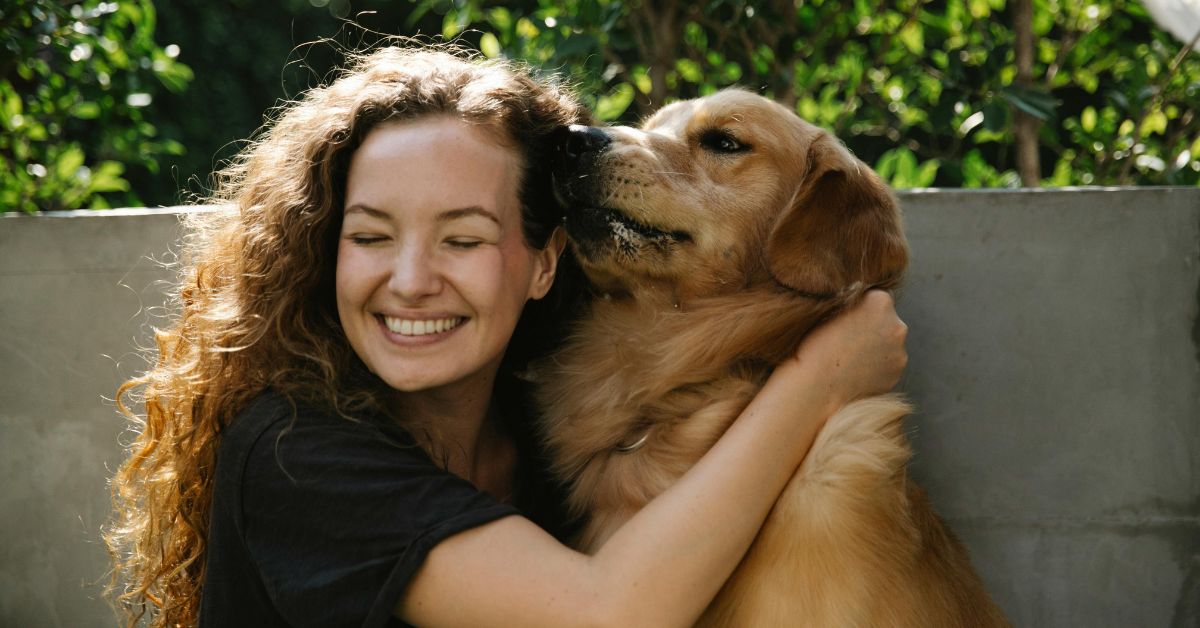 15 Dog Breeds Known for Their Compassion and Emotional Intelligence ...