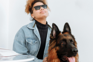 15 Behaviours That Show Your Dog Is An Alpha - Dog Breed Pro