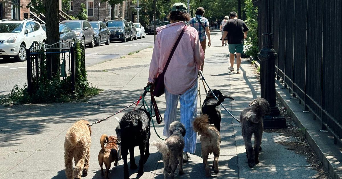 15 States That Put Dogs First in Surprising Ways - Dog Breed Pro