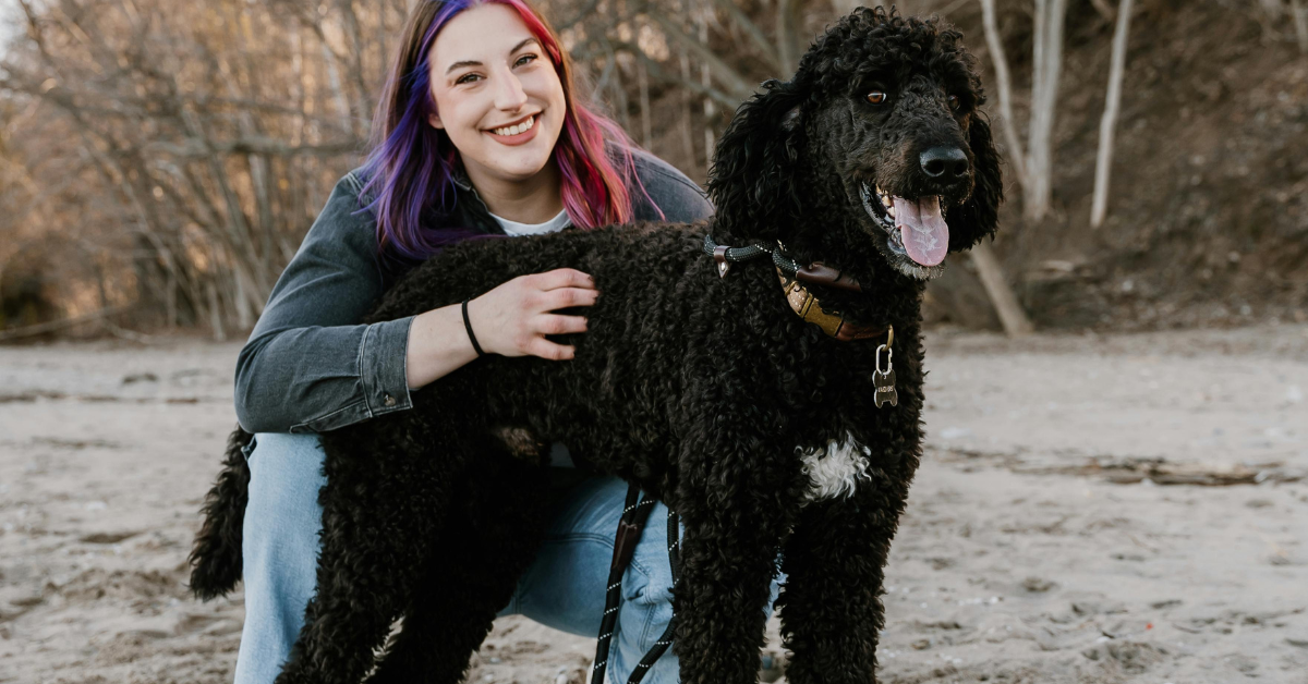 15 Dog Breeds With Stunning Black Coats - Dog Breed Pro