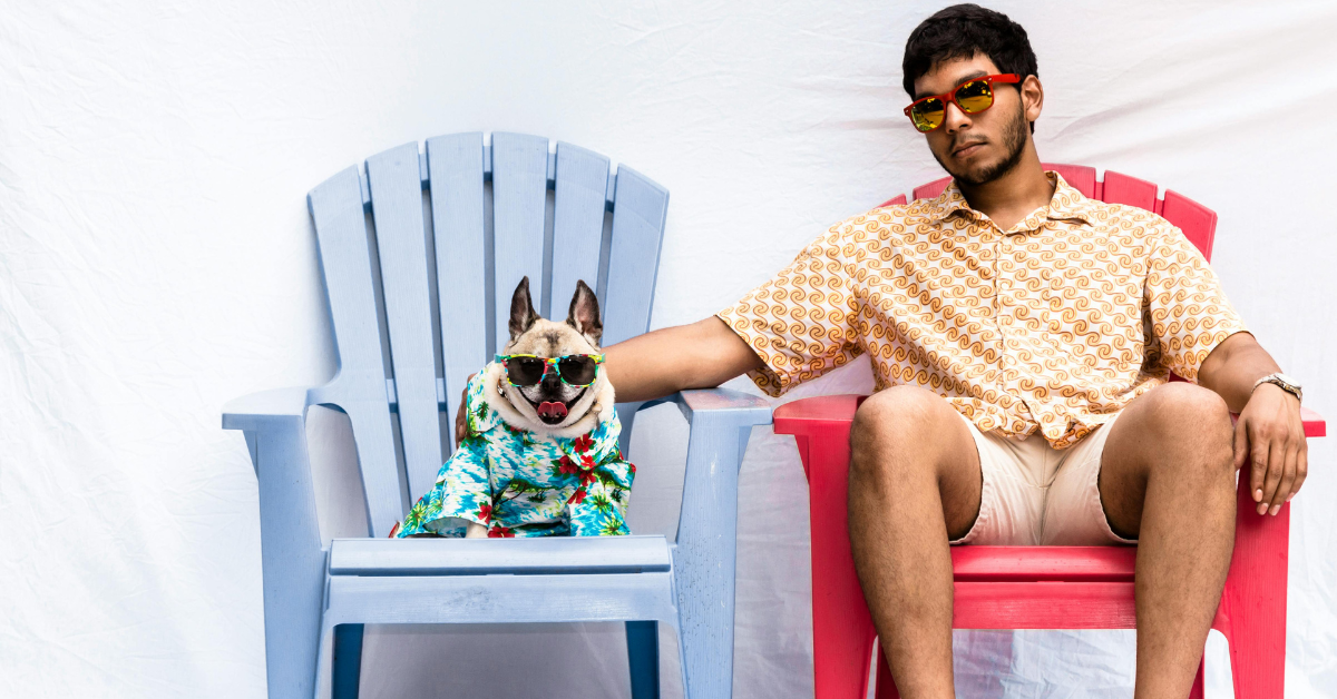 10 Fun and Simple Ways To Showcase Your Dog’s Charm on Social Media ...