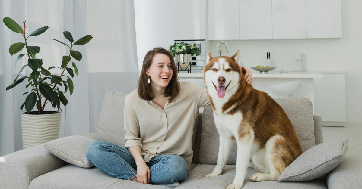 15 Russian Dog Breeds That Will Instantly Win Your Heart - Dog Breed Pro