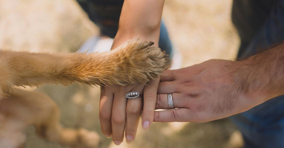 15 Surprising Facts About Your Dog's Paws - Dog Breed Pro