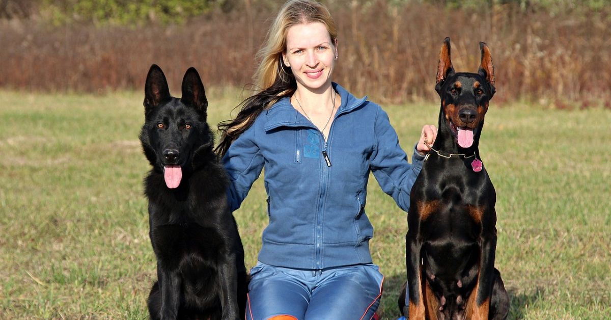 The Hidden Superpowers of Dogs When Sensing Danger - Dog Breed Pro