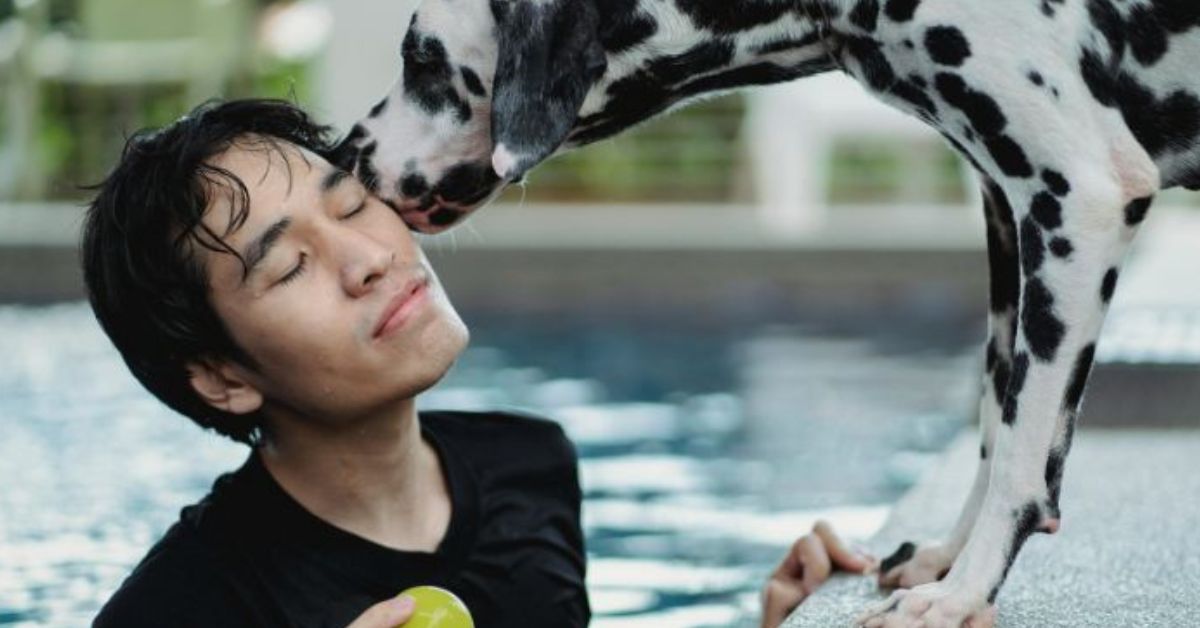 How to Tell If You and Your Dog Are Attached Beyond Bounds - Dog Breed Pro