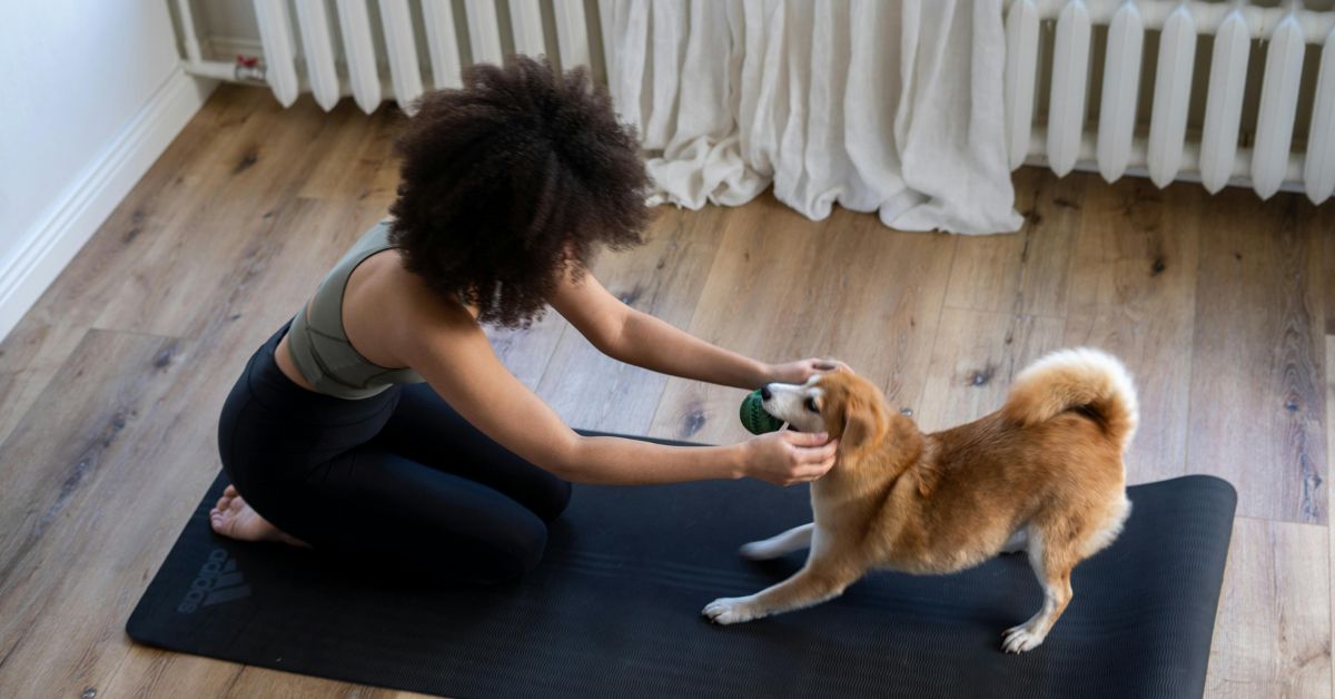 15 Best Puppy Training Tips for a Well-Behaved Dog - Dog Breed Pro