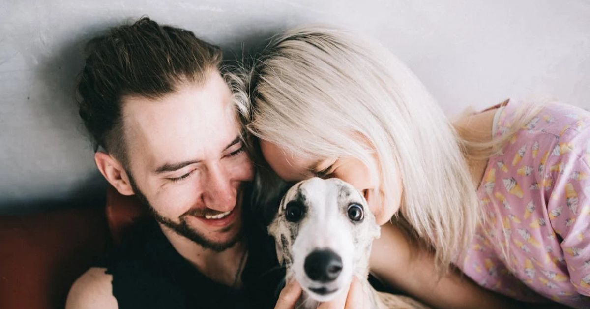 15 Popular English Dog Breeds to Welcome Into Your Home - Dog Breed Pro