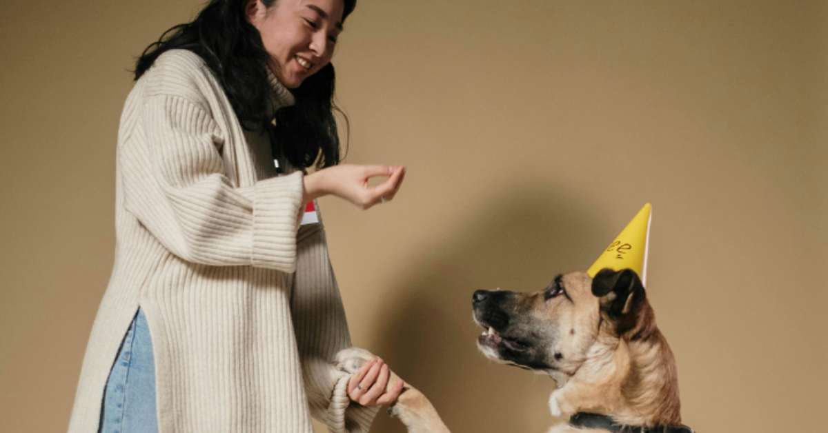 20 Fun Ways to Teach Your Dog to Talk - Dog Breed Pro