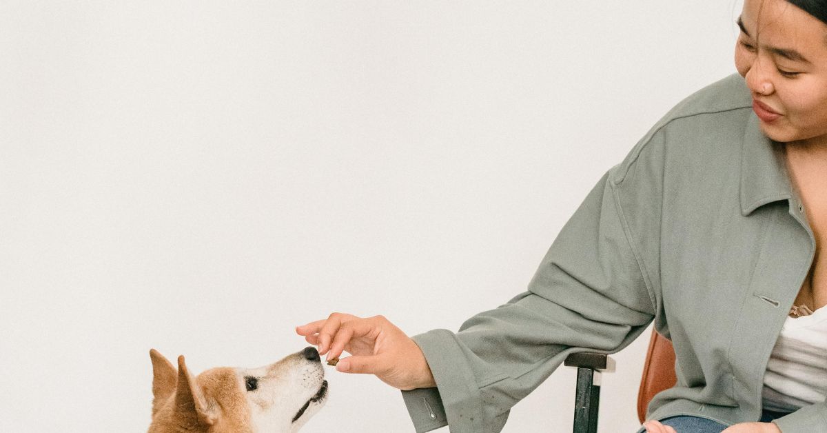 Which Nuts Are Safe for Dogs? - Dog Breed Pro