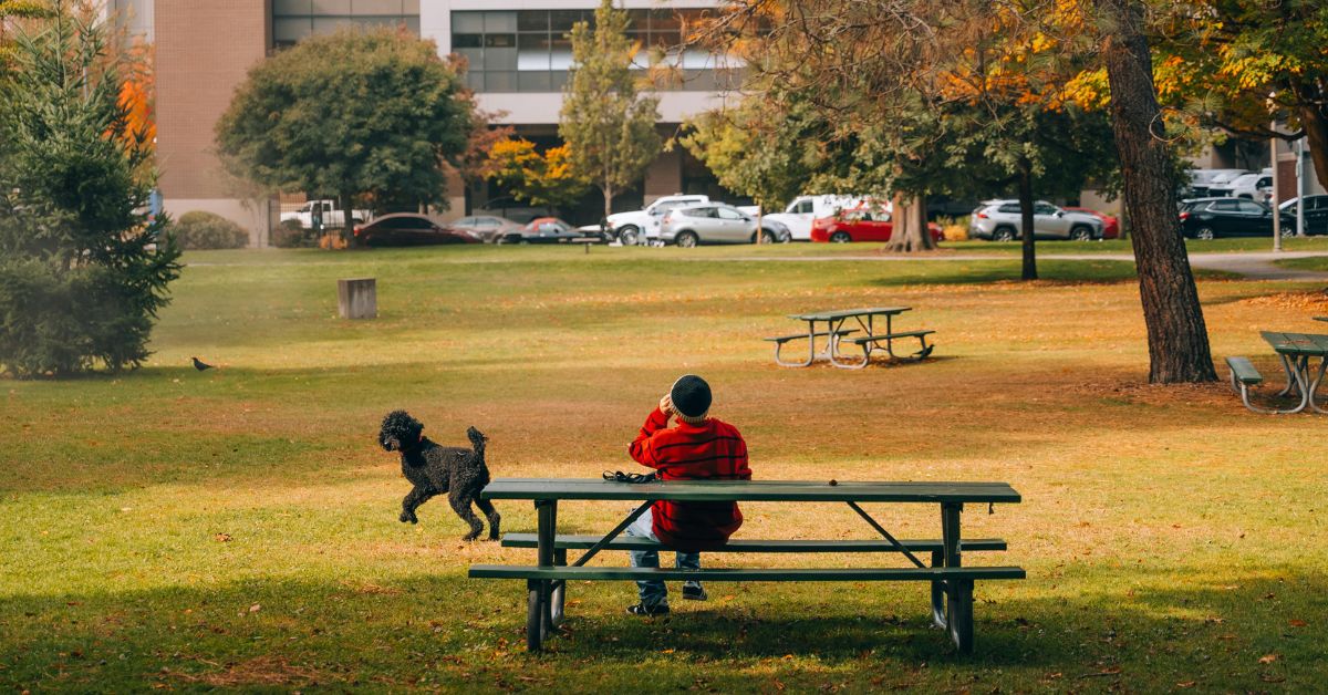 10 Tips to Ease Your Dog into Fall Time Changes - Dog Breed Pro