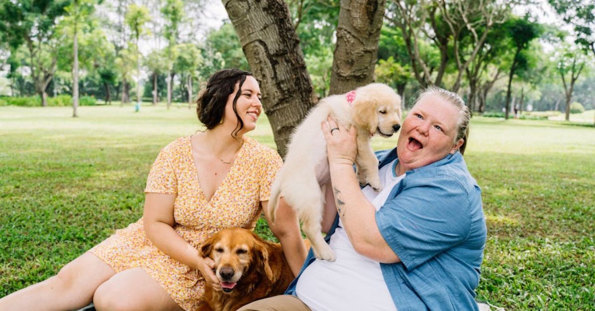15 Reasons Families Adore Golden Retrievers - Dog Breed Pro 15 Reasons Families Adore Golden Retrievers - Dog Breed Pro