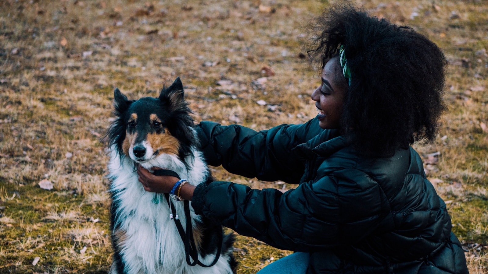 30 Ways to Rebuild Trust With a Dog After a Rough Start - Dog Breed Pro