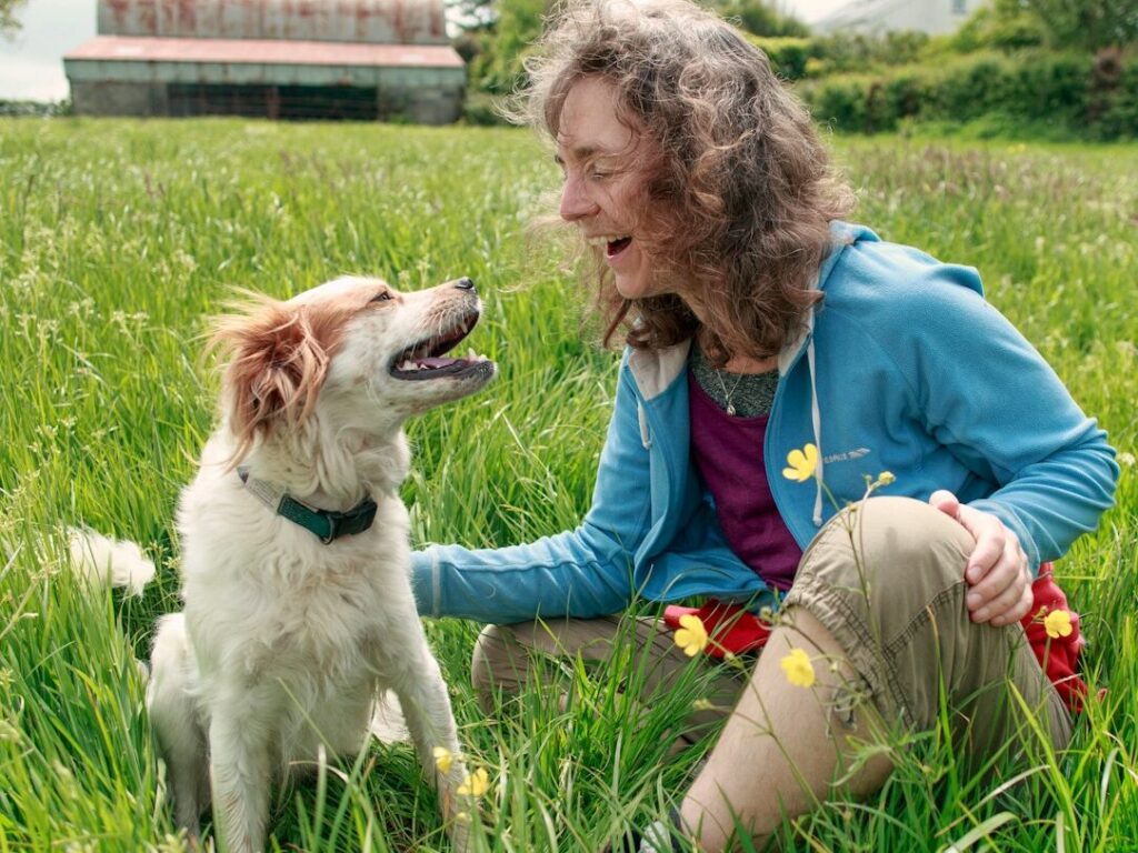 15 Reasons Why Dogs Like Humans - Dog Breed Pro