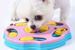 20 Fun Games to Beat Winter Boredom for Your Dog - Dog Breed Pro