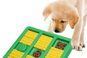 20 Surprising Ways Dogs Are Evolving in the Modern World - Dog Breed Pro