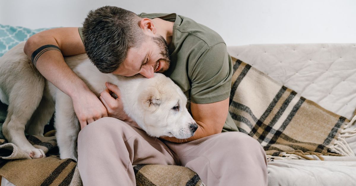 10 Canine Traits That Inspire Us to Be Better Humans - Dog Breed Pro