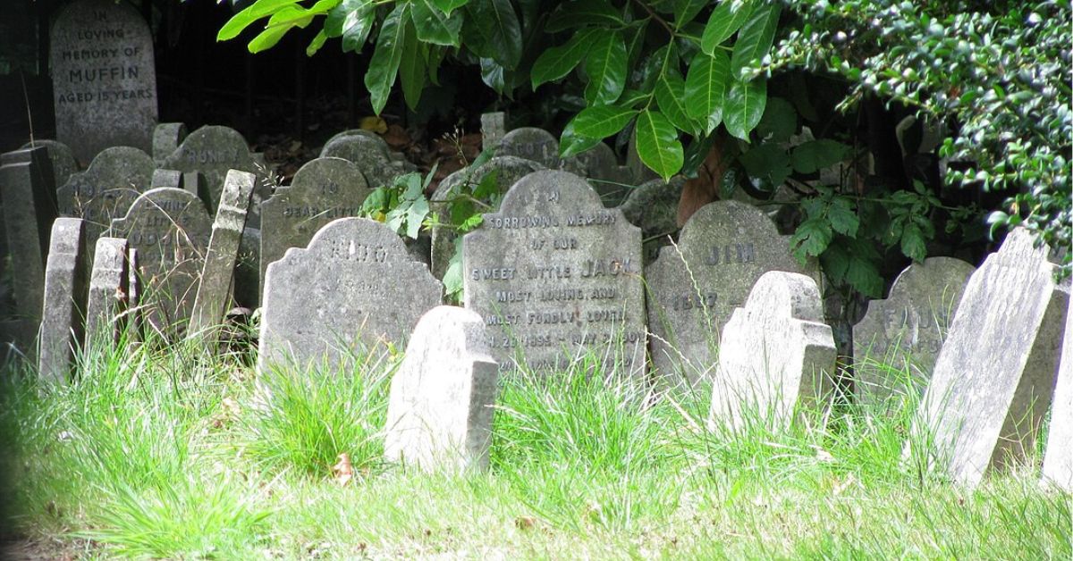 10 Heartfelt Facts About The Hyde Park Pet Cemetery In London - Dog ...