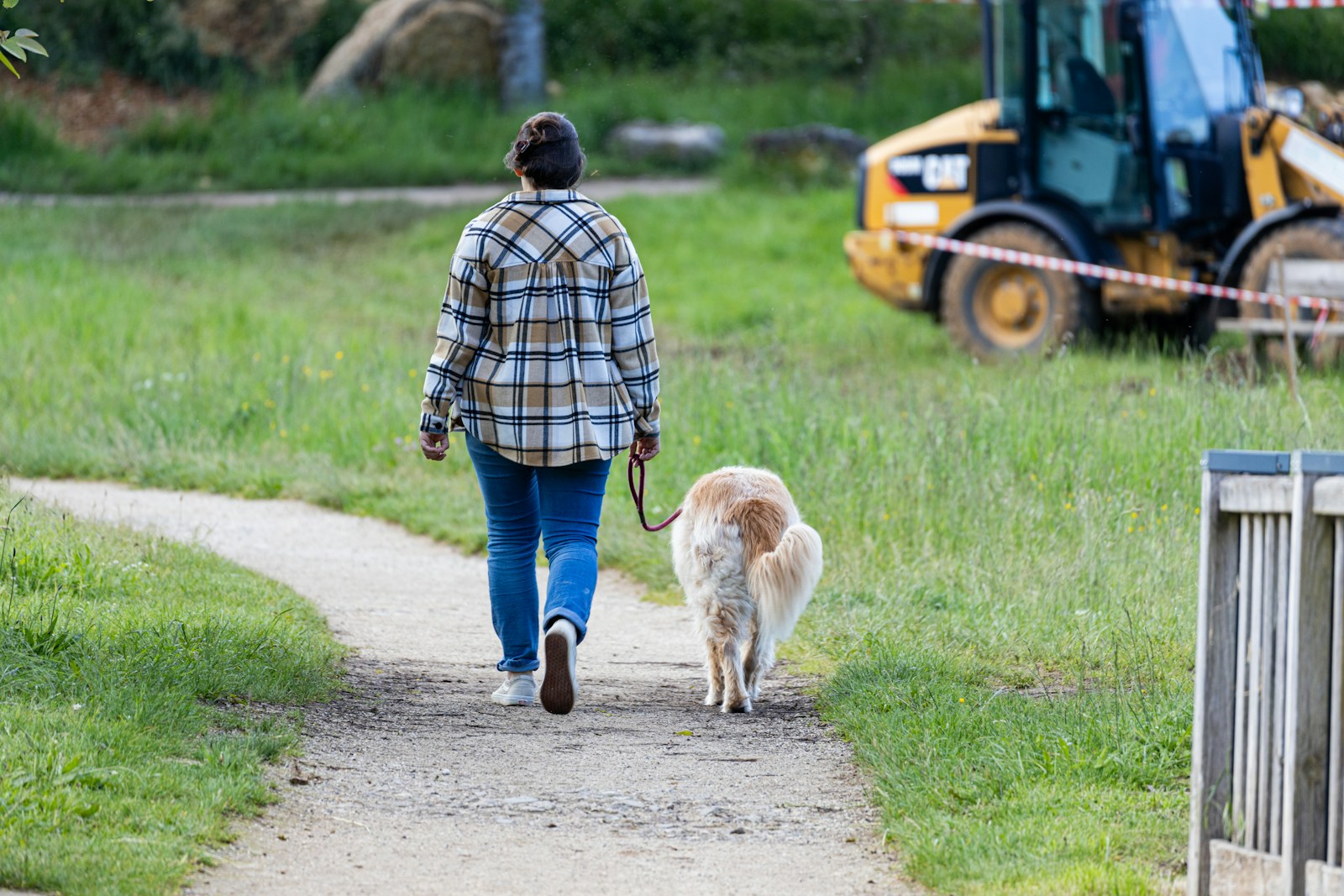 15 Reasons Why Dogs Like Humans - Dog Breed Pro