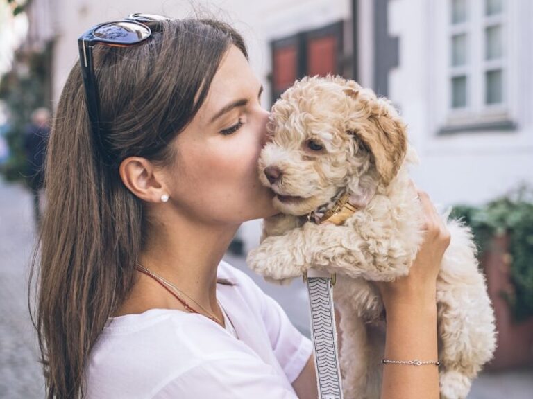 15 Reasons Why Dogs Like Humans - Dog Breed Pro