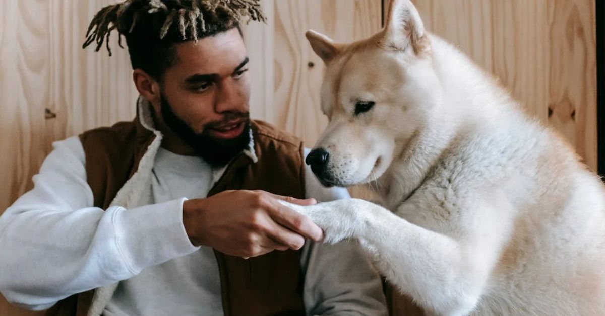 20 Gentle Tricks to Help Your Dog Fix Their Bad Behavior - Dog Breed Pro