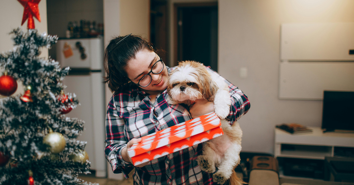 20 Holiday Gift Ideas to Make Your Pet’s Season Extra Special - Dog ...