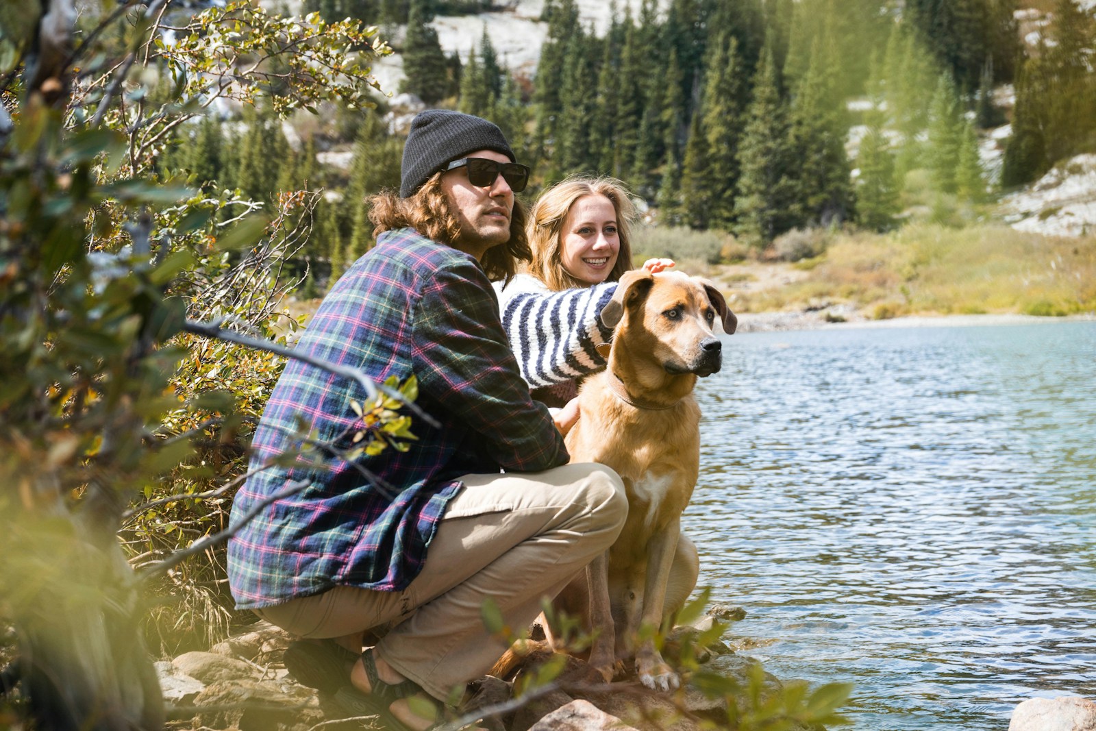 15 Reasons Why Dogs Like Humans - Dog Breed Pro