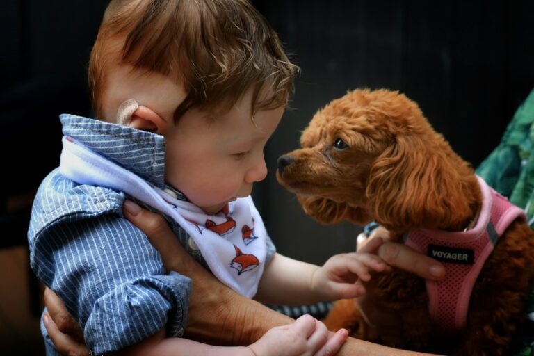 10 Reasons Why Dogs Are Good for Kids - Dog Breed Pro