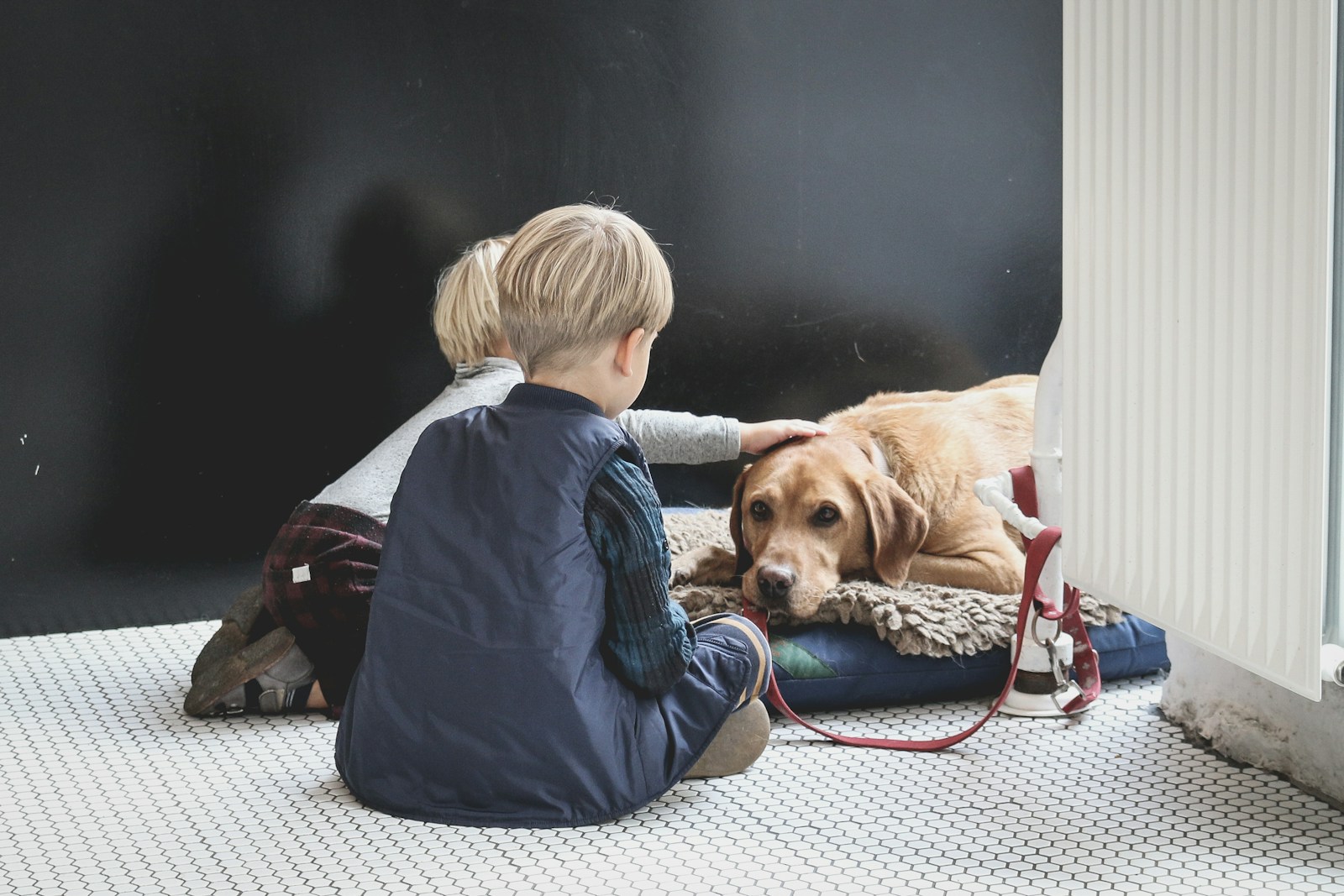10 Reasons Why Dogs Are Good for Kids - Dog Breed Pro