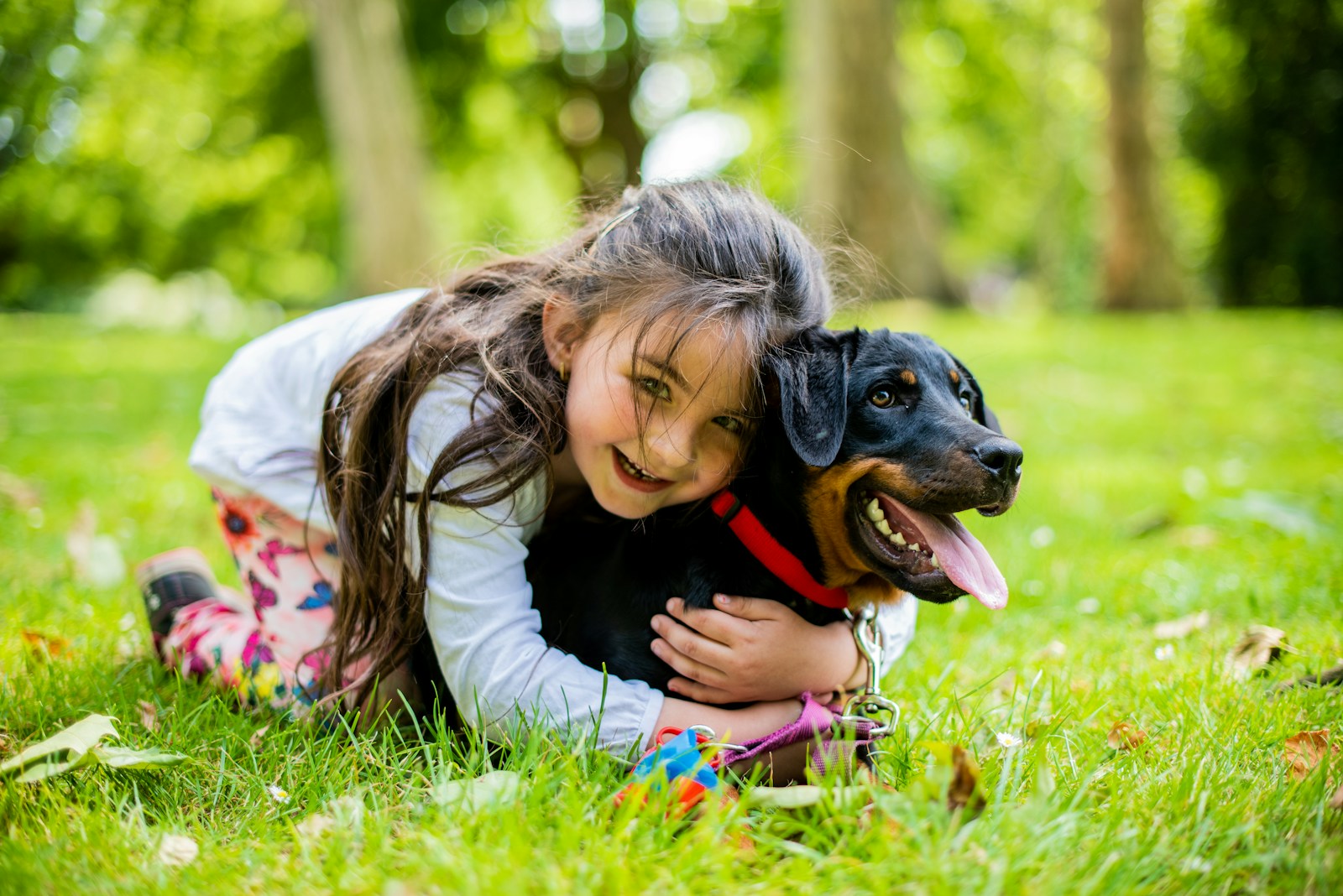 10 Reasons Why Dogs Are Good for Kids - Dog Breed Pro