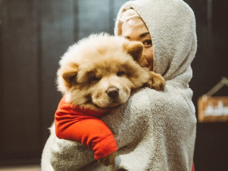 15 Small Ways Dogs Show Their Gratitude - Dog Breed Pro