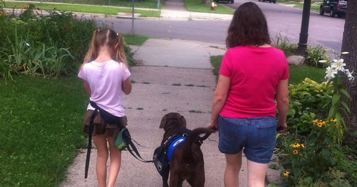 10 Ways Service Dogs Improve Life With Autism - Dog Breed Pro
