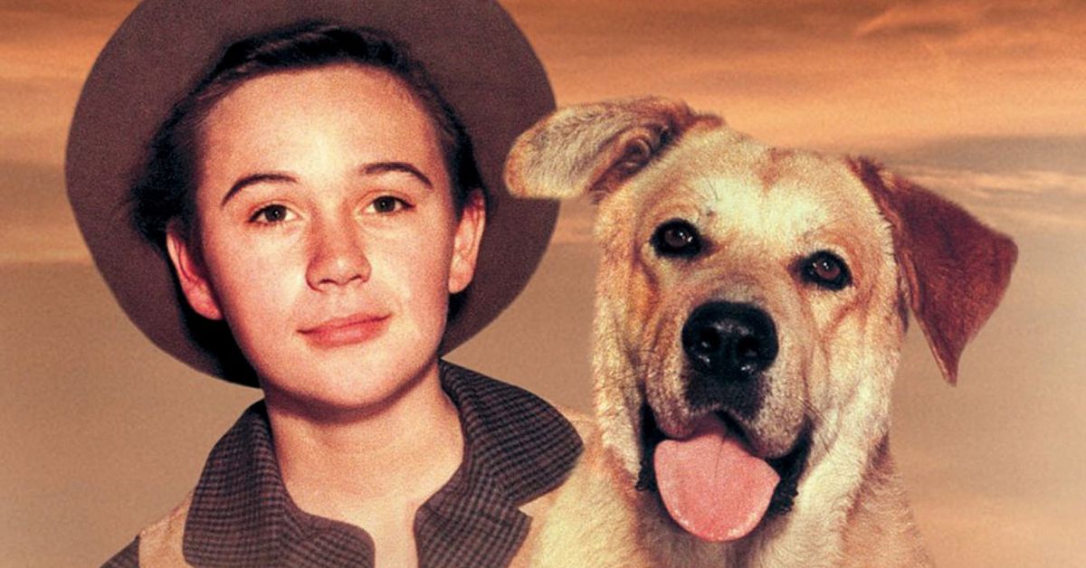 The 20 Most Iconic Dogs On Screen - Dog Breed Pro