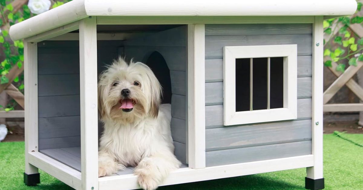 20 Clever Tips For Designing A Cozy Kennel For Your Dog - Dog Breed Pro