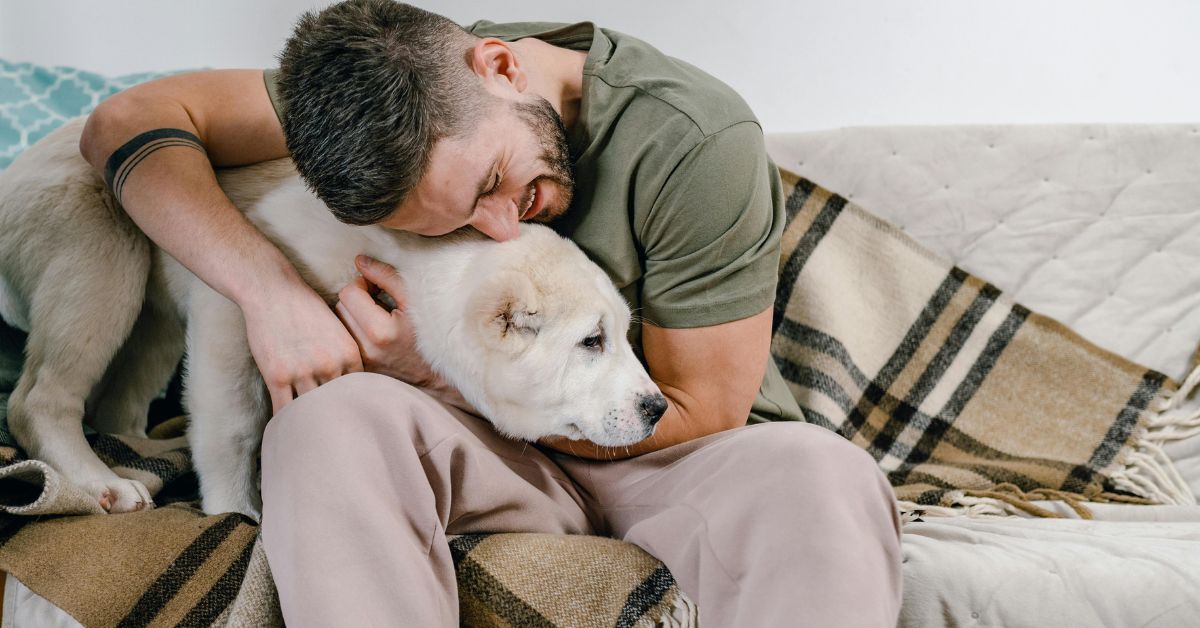 How Dogs Turn Frowns And Tears Into Smiles And Hugs - Dog Breed Pro